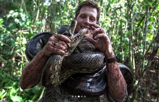 Maior sucuri do mundo é descoberta na Amazônia, com 8 metros e 200 kg ...