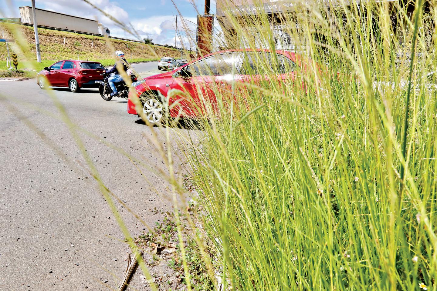 De olho em 2026, Bruno Peixoto se aproxima do PSB | O Popular