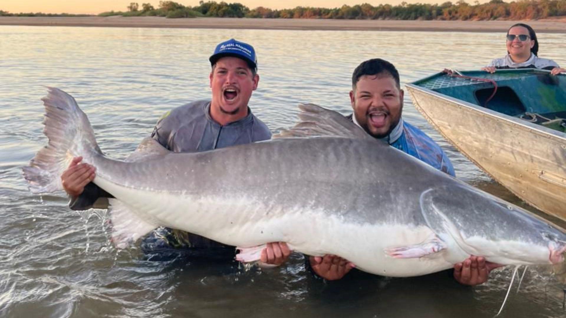 Hd Pesca Peixe Esporte
