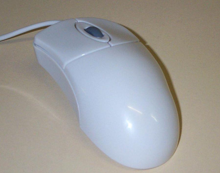 Morre aos 88 anos o inventor do mouse | O Popular